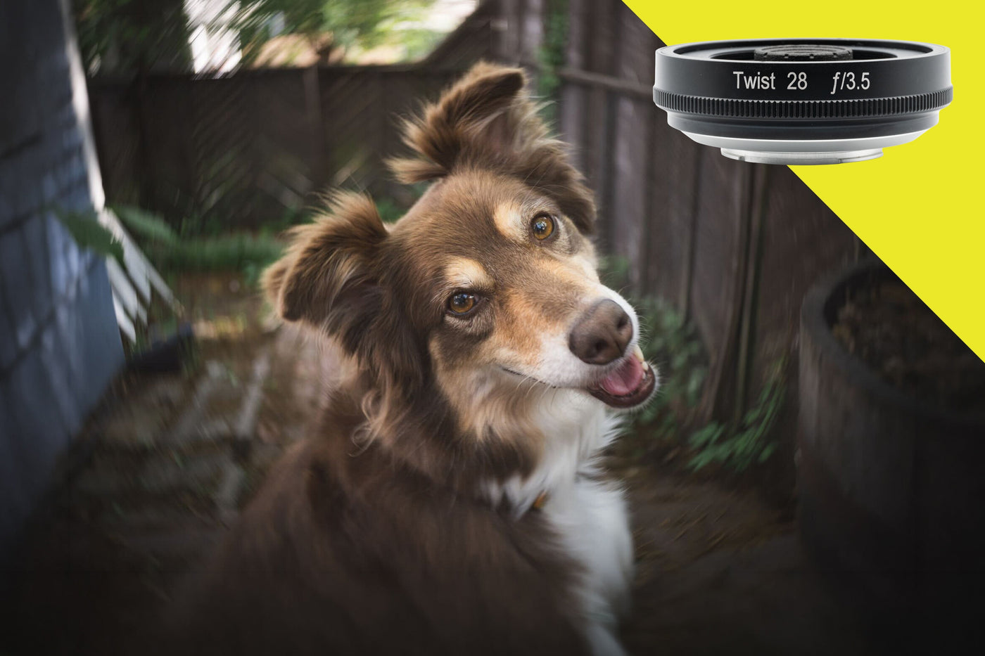 Lensbaby | Creative Effects Camera Lenses for Photography and Video